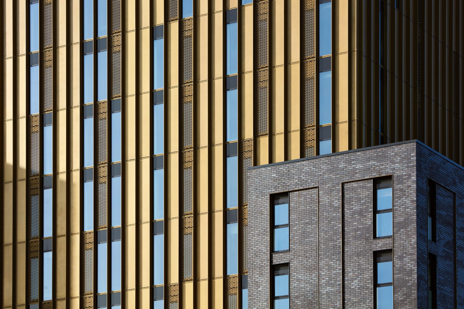 Verse | Rio Architects