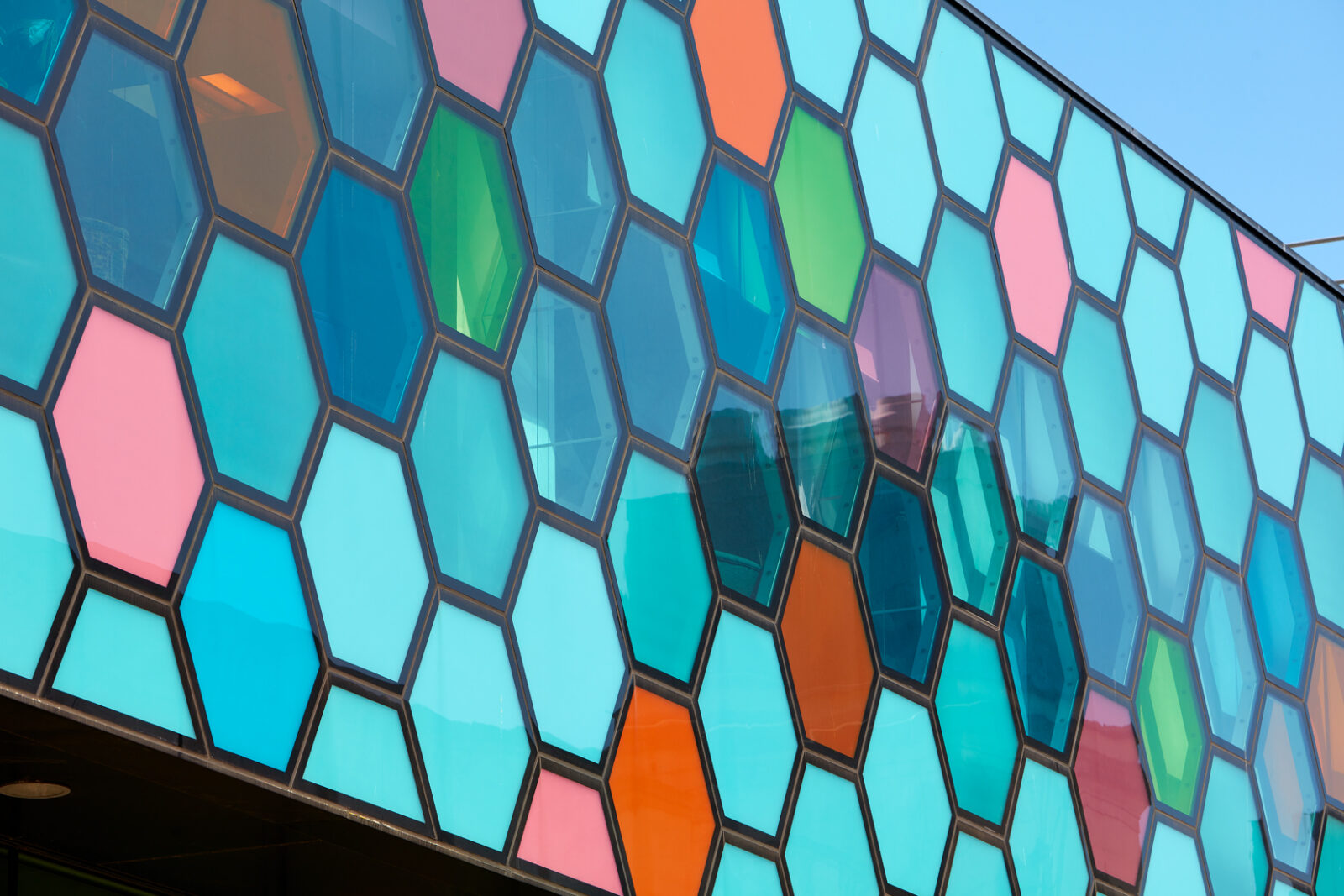 Cardiff University Bioscience Hub | Rio Architects